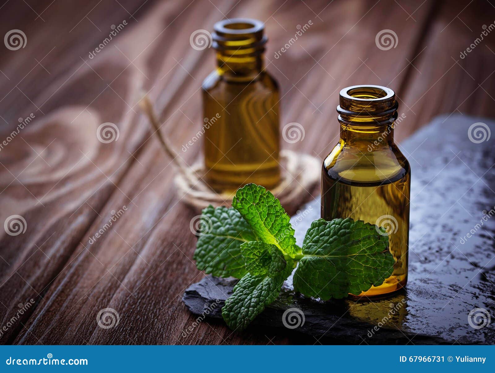 Mint Oil in Small Bottles and Fresh Mint Stock Image - Image of mint ...