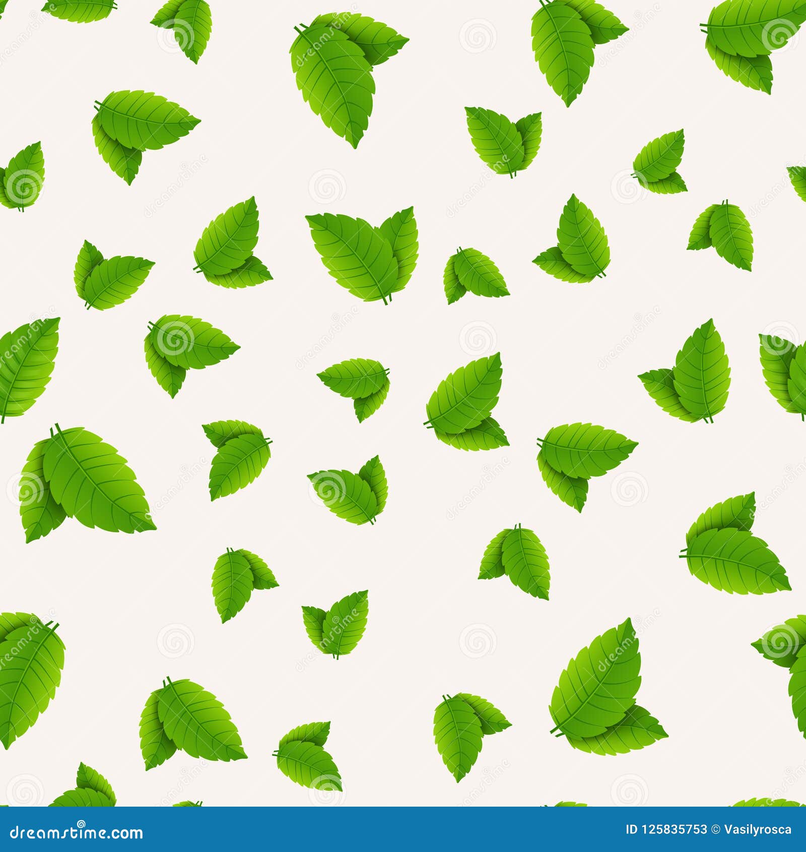 Mint Organic Seamless Pattern. Vector Cooking Natural Mint Design ...