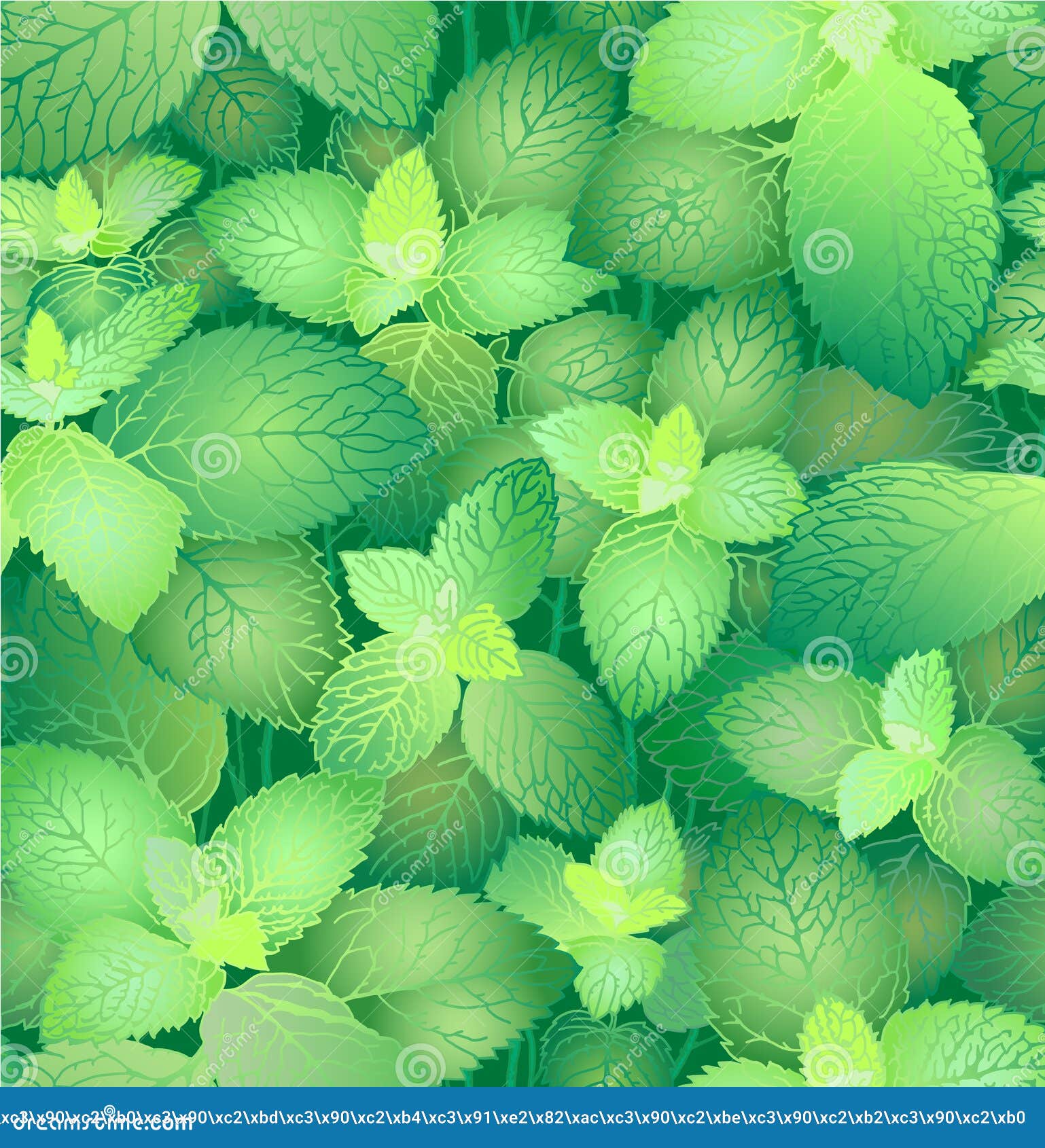 Mint. Seamless Pattern. stock vector. Illustration of garden - 55310560