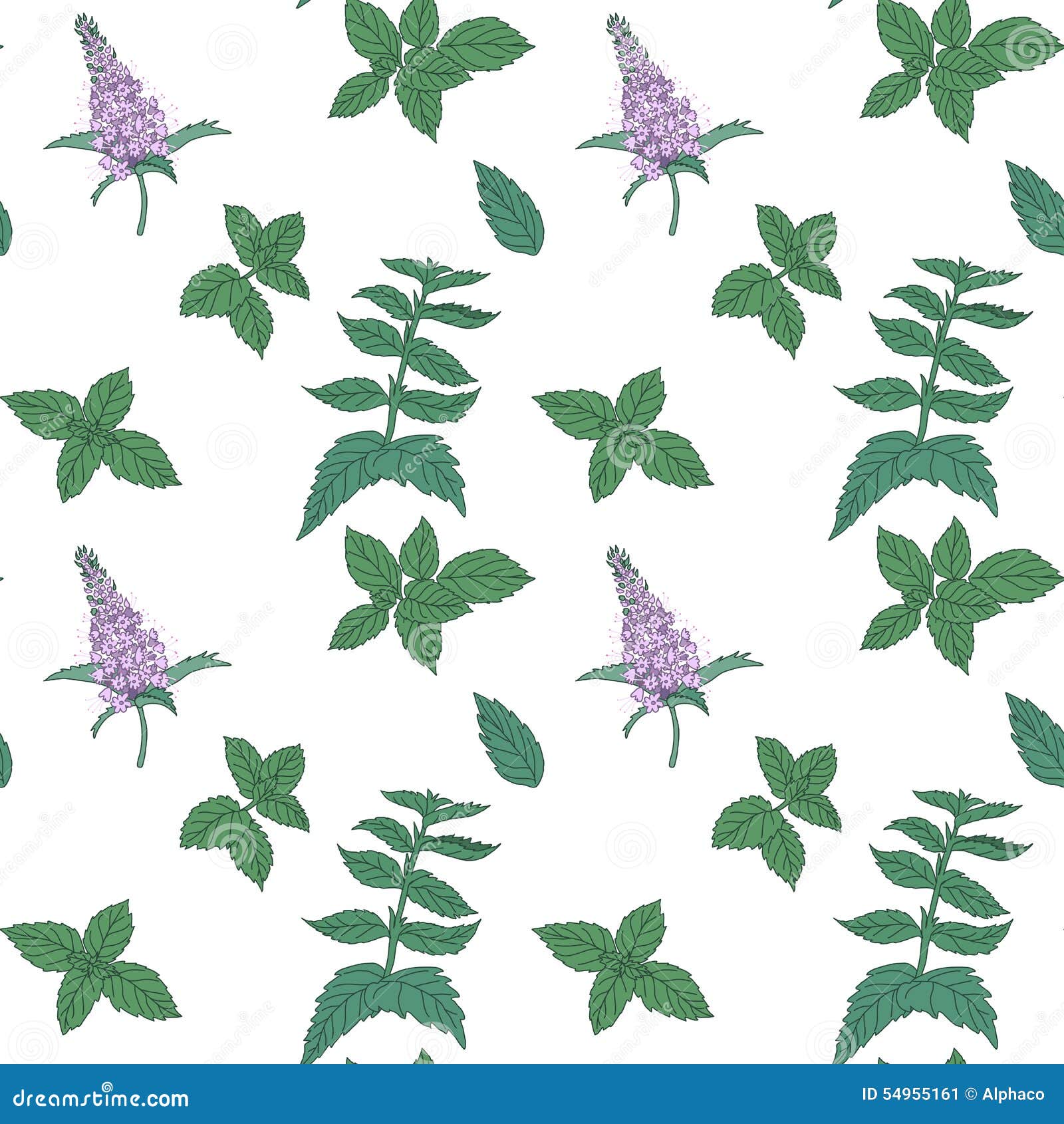 Mint seamless pattern stock vector. Illustration of flourish - 54955161