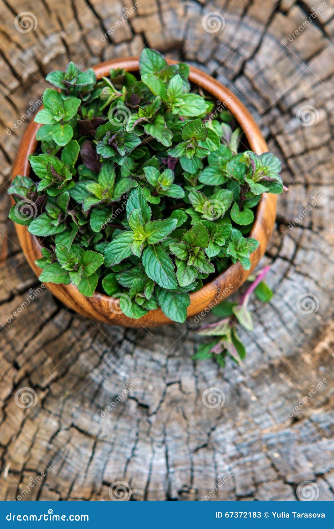 Mint in Small Basket on Natural Wooden Background, Peppermint, Stock ...