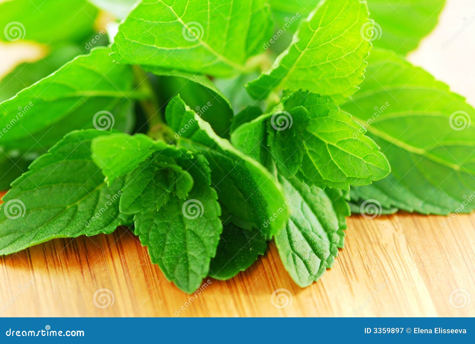 Mint sprigs stock image. Image of leaf, green, botanical - 3359897