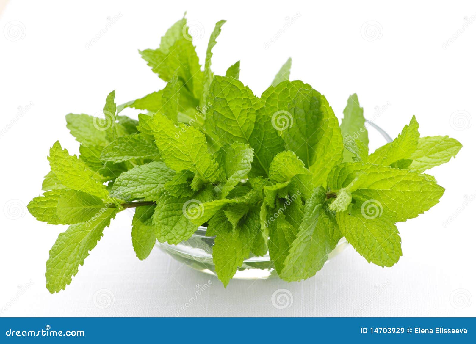 Mint sprigs in bowl stock image. Image of ingredient - 14703929