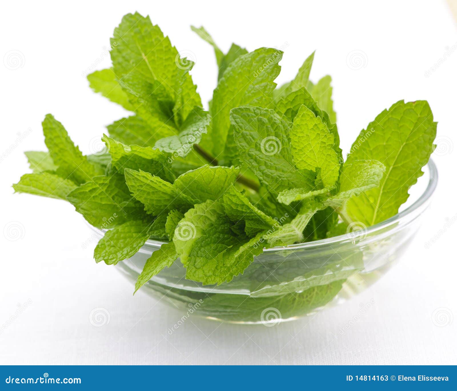 Mint sprigs in bowl stock image. Image of ingredients - 14814163