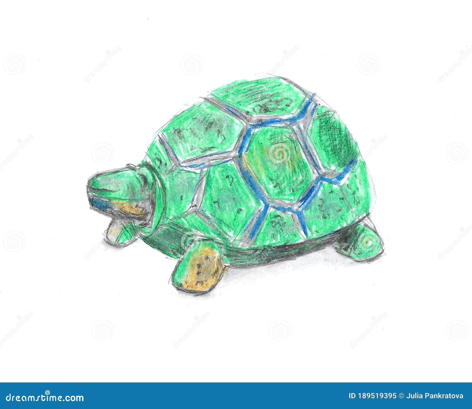 Mint Stone Turtle Sculpture, Drawing, Colored Pencils Stock Image ...