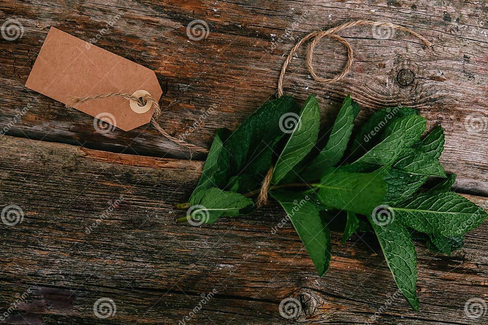 Mint on the table stock image. Image of mint, aromatic - 47248137
