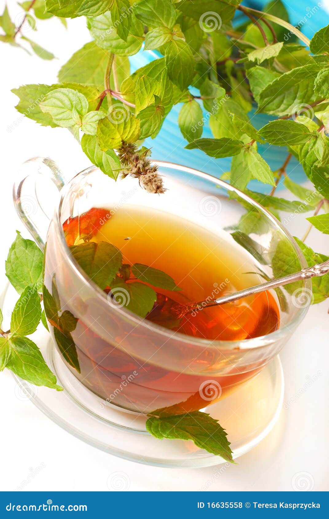 Mint tea stock photo. Image of refreshment, beverage - 16635558