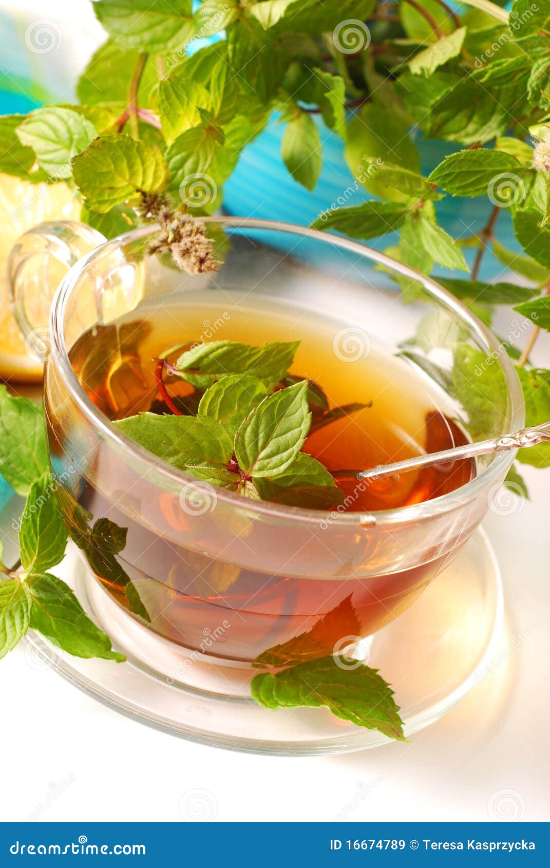 Mint tea stock image. Image of fresh, green, garden, food - 16674789