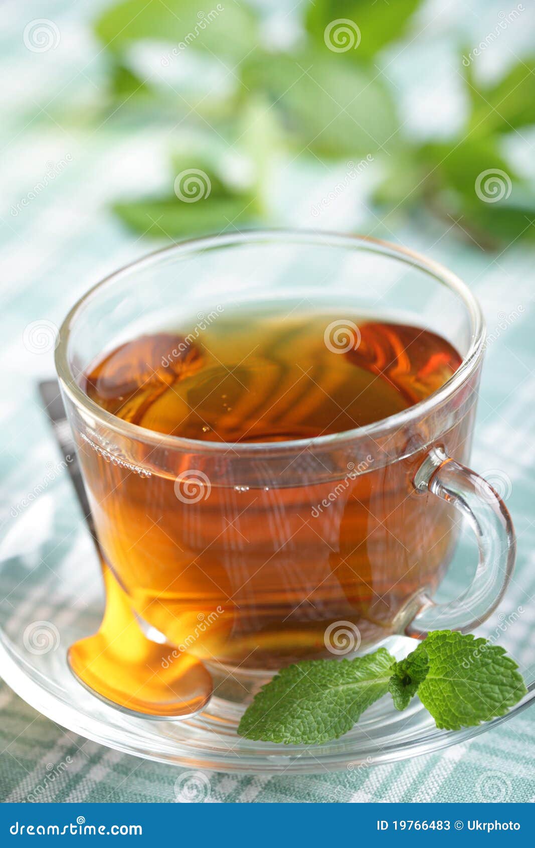Mint tea stock image. Image of healthy, vertical, mint - 19766483