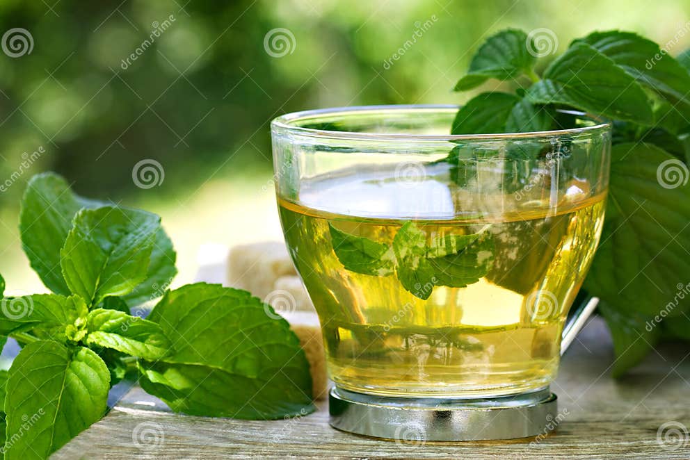 Mint tea stock image. Image of herbal, dessert, health - 20046975