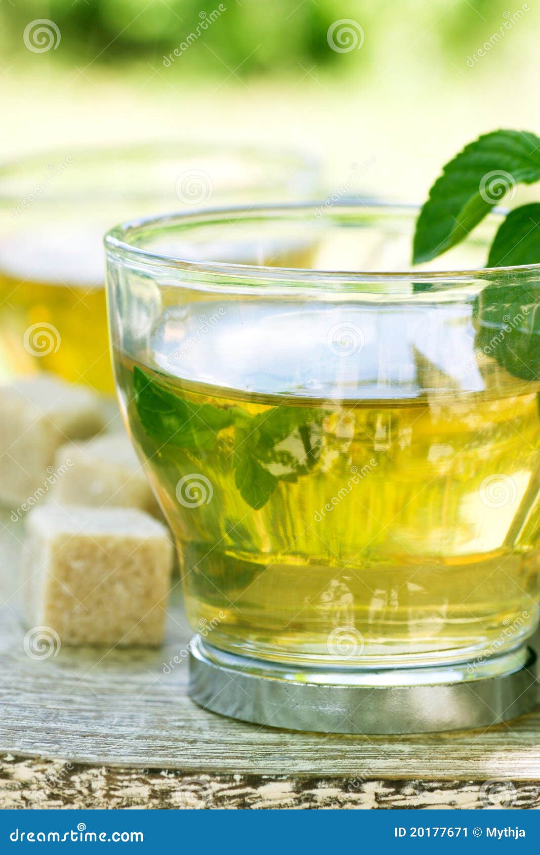 Mint tea stock image. Image of leaves, ready, frame, health - 20177671