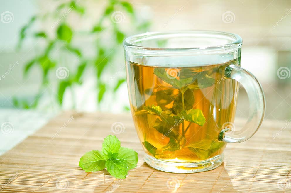 Mint tea stock photo. Image of aromatic, remedy, green - 21289900