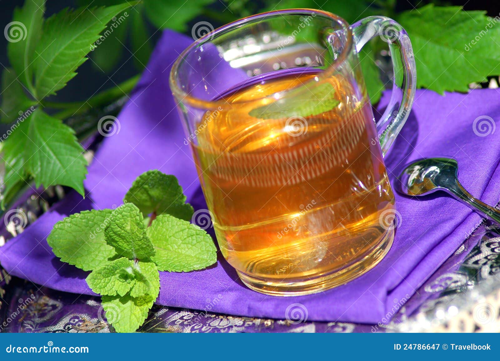 Mint tea stock image. Image of refreshments, beverage - 24786647