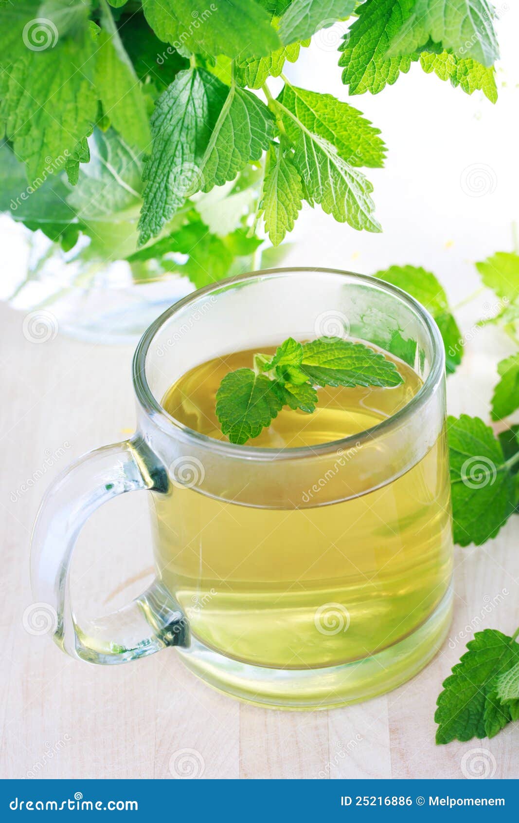Mint tea stock photo. Image of closeup, summer, natural - 25216886