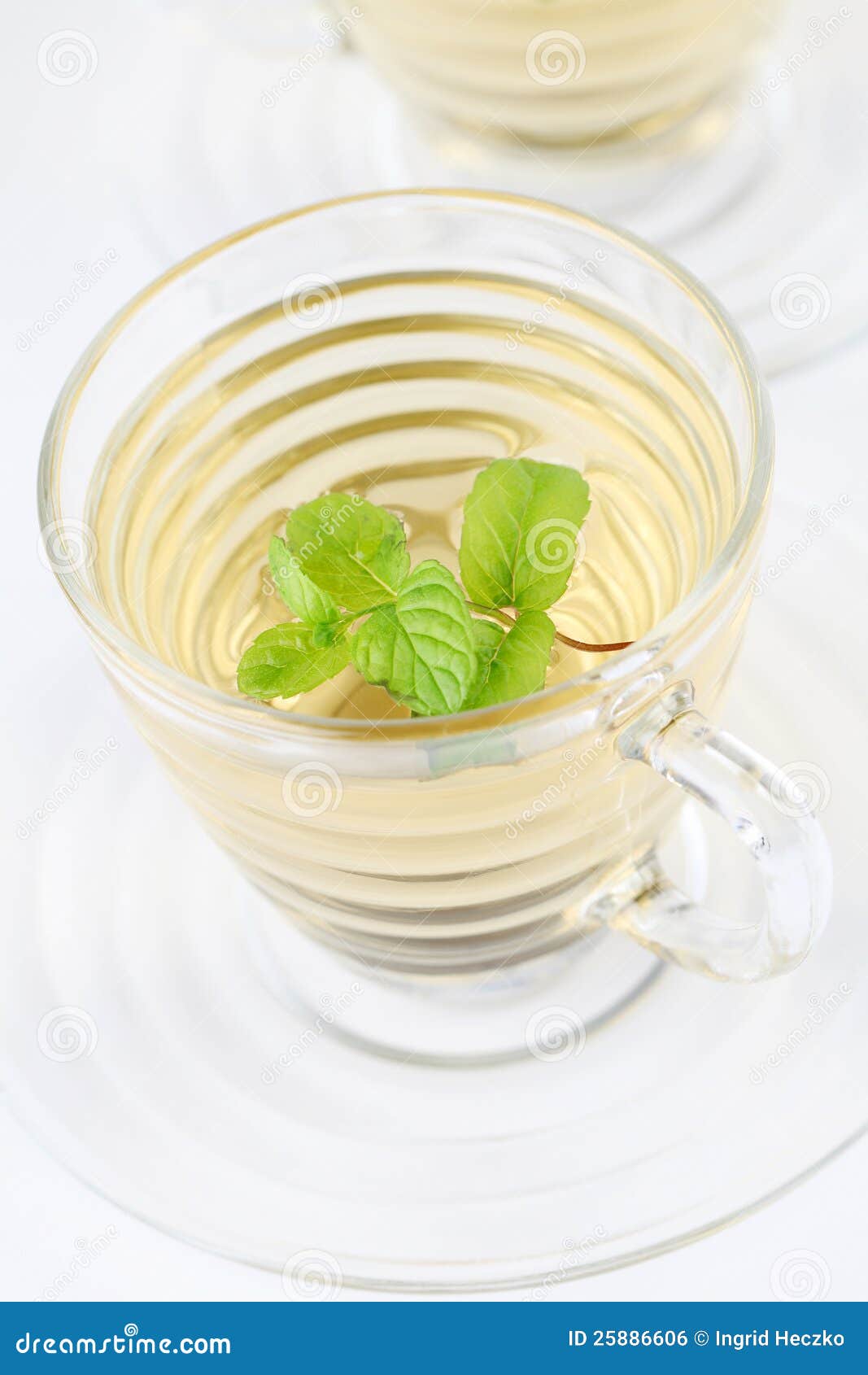 Mint tea stock photo. Image of detoxification, vertical - 25886606