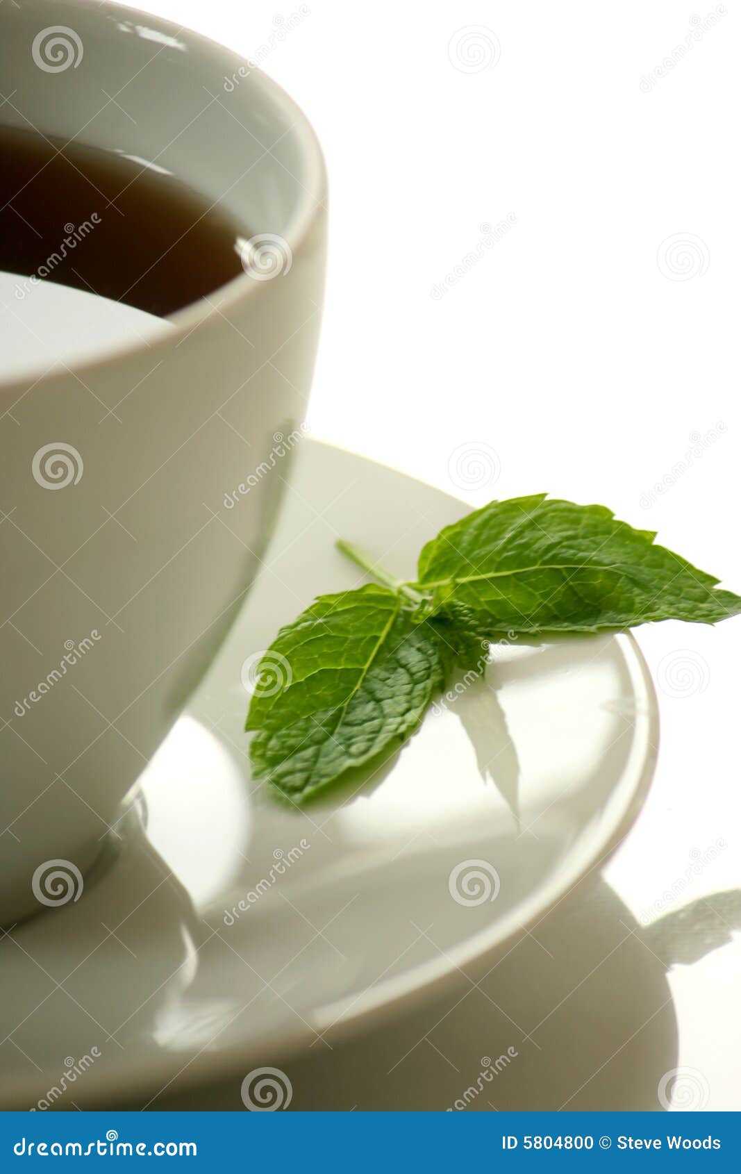 Mint Tea stock photo. Image of drink, refreshing, health - 5804800