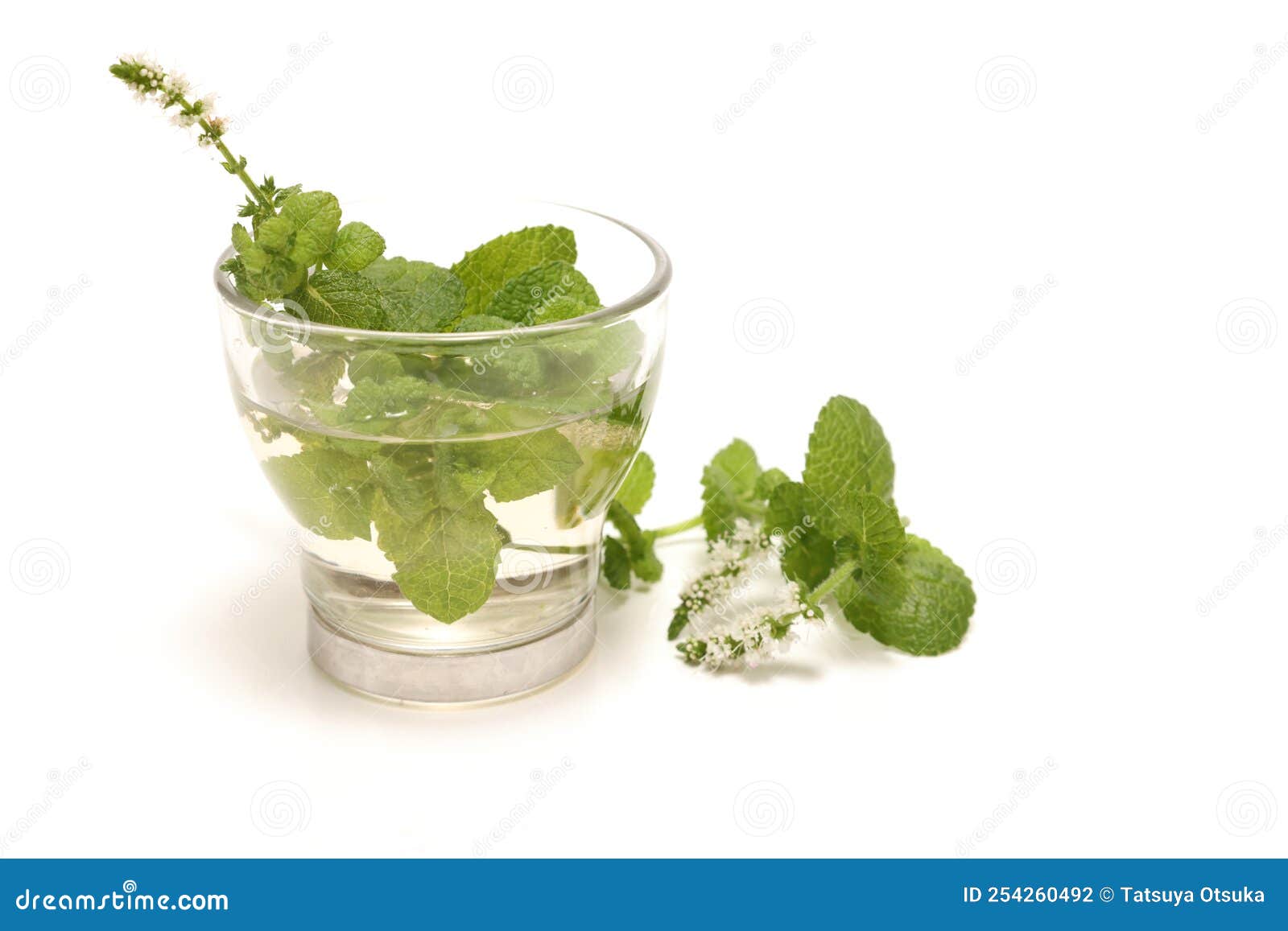 Mint Tea in a Cup Isolated on a White Background. Stock Photo - Image ...