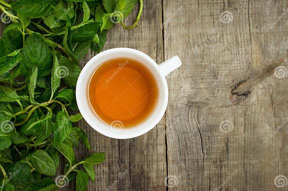Mint Tea stock image. Image of fresh, green, sweet, beverage - 33998959