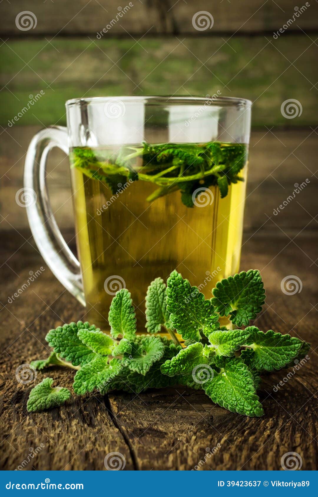 Mint tea in glass cup stock image. Image of freshness - 39423637