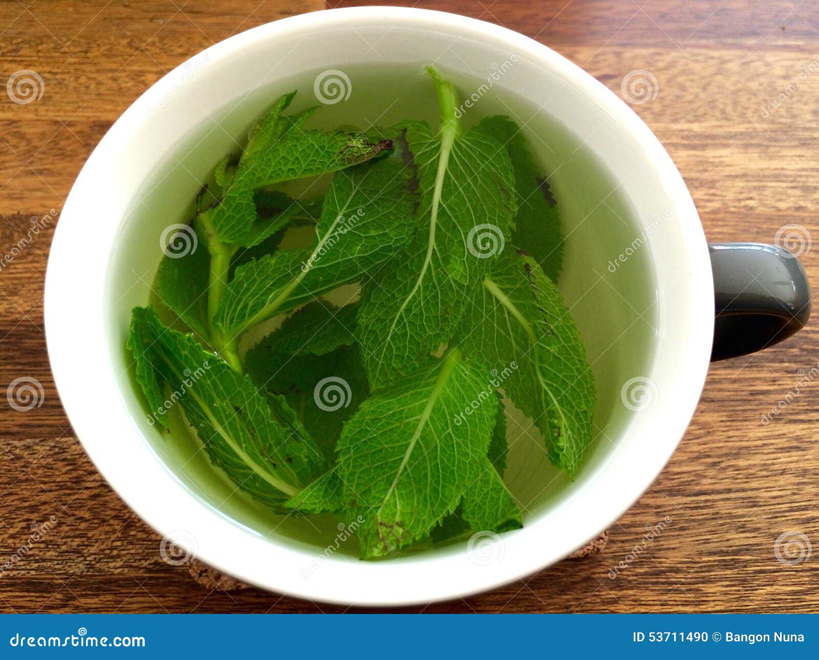 Mint tea stock photo. Image of herb, fresh, mint, green - 53711490