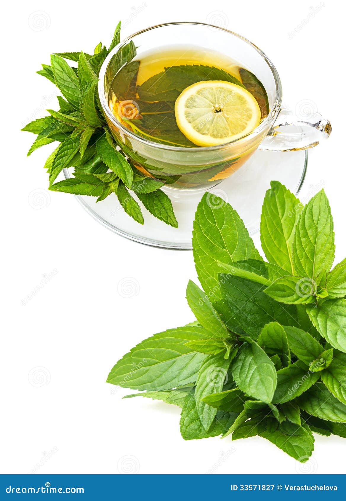 Mint tea stock image. Image of breath, grow, healthy - 33571827