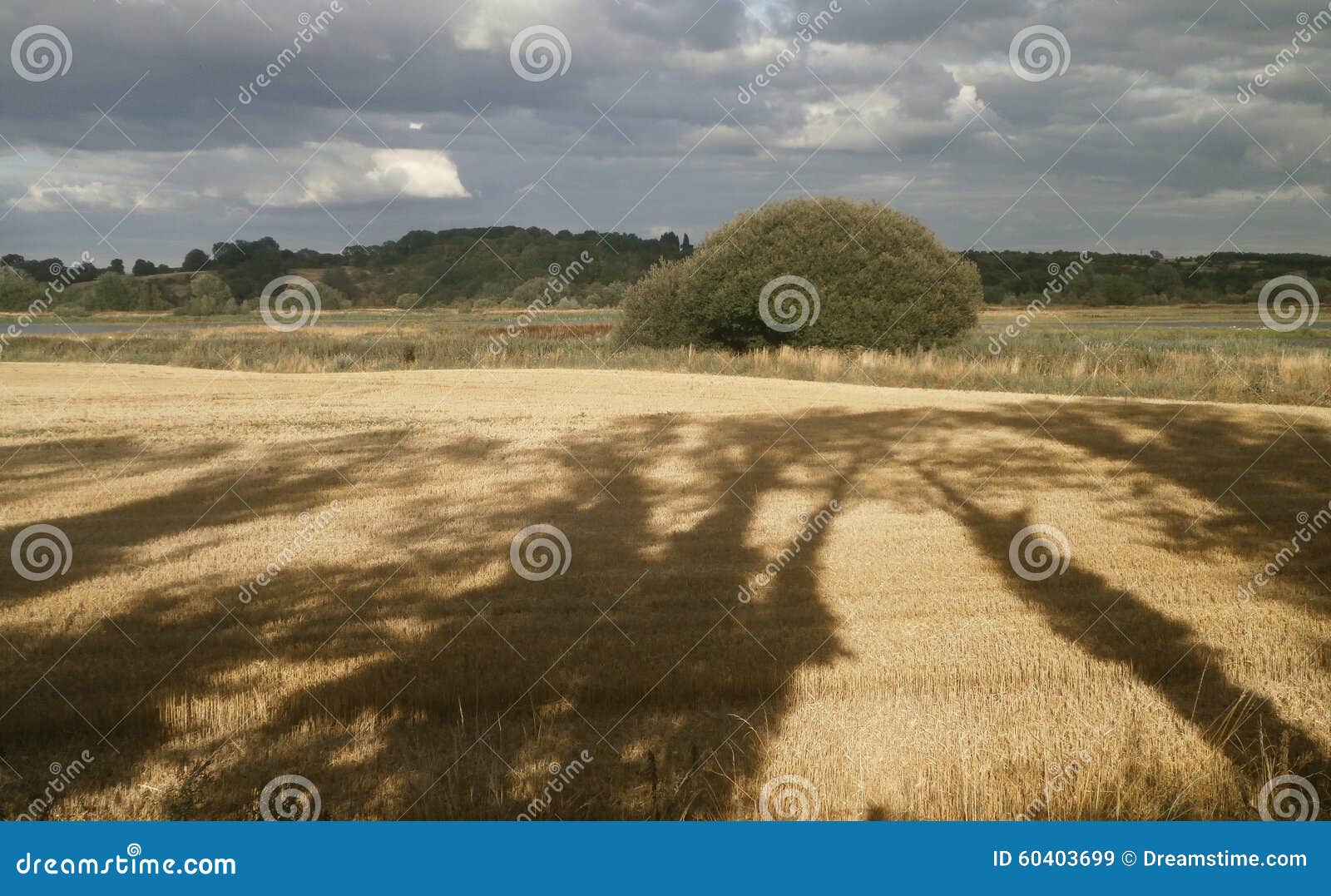 Minworth View, Birmingham, England Stock Image - Image of landscape ...