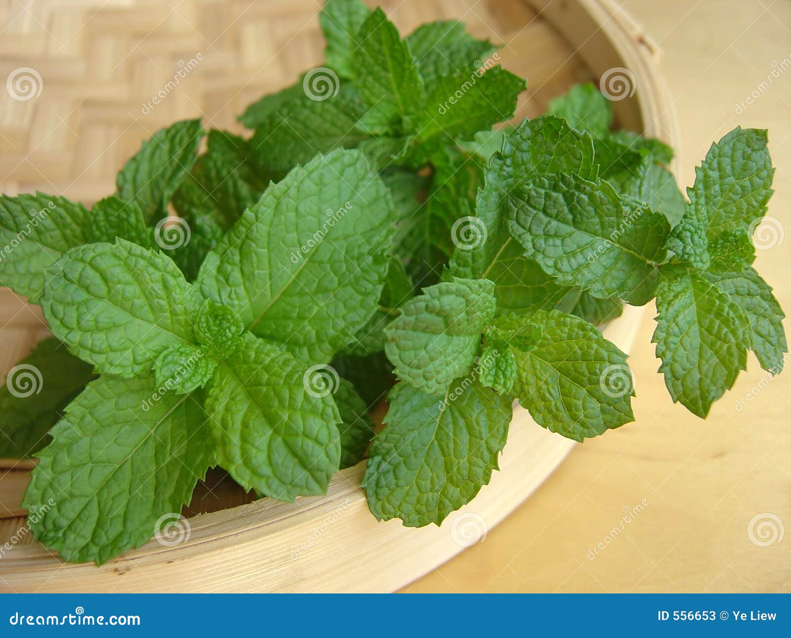 Minze stockbild. Bild von geruch, üppig, wohlriechend, belaubt - 556653
