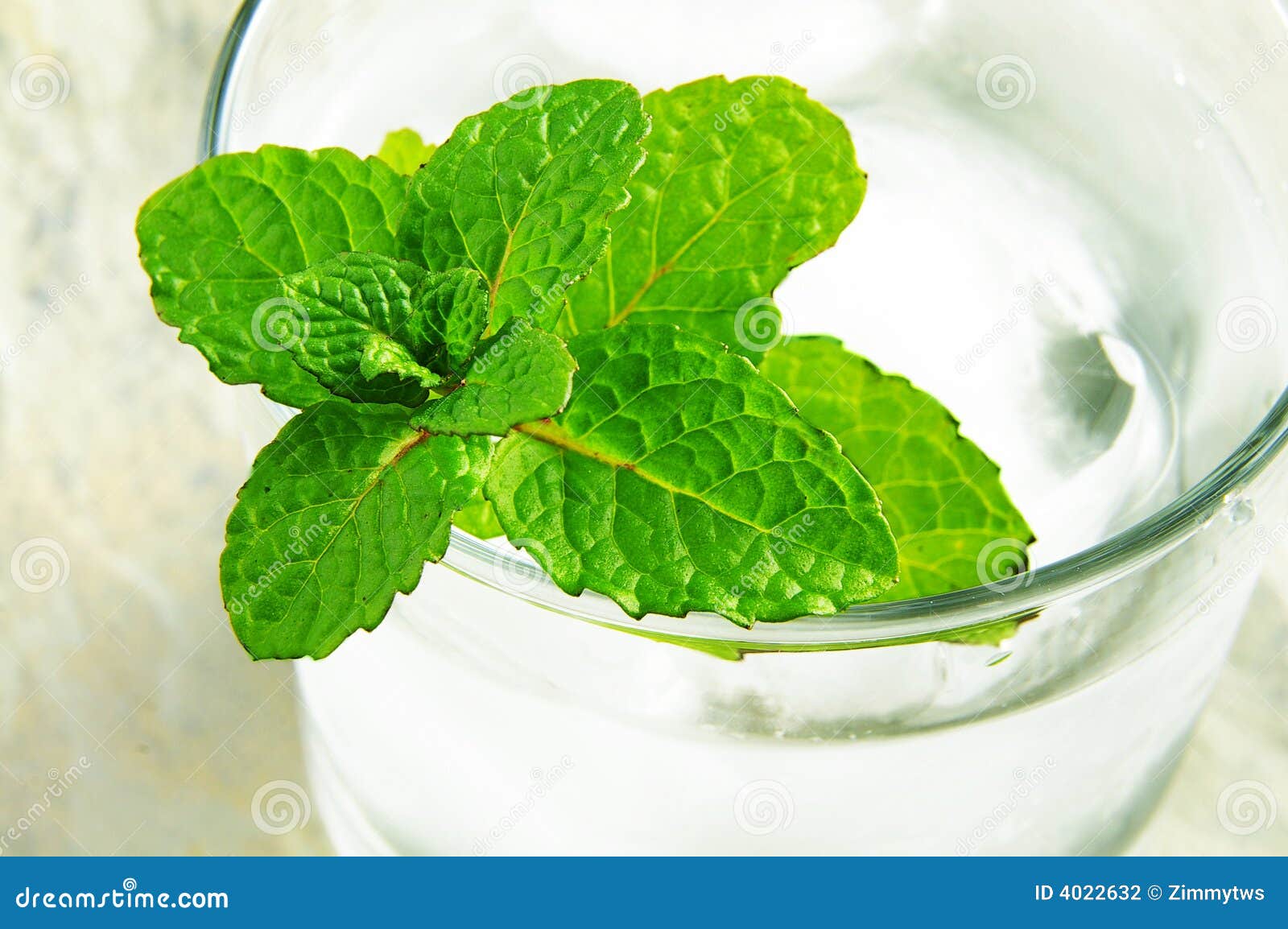 Minze und Wasser stockfoto. Bild von blatt, gesundheit - 4022632