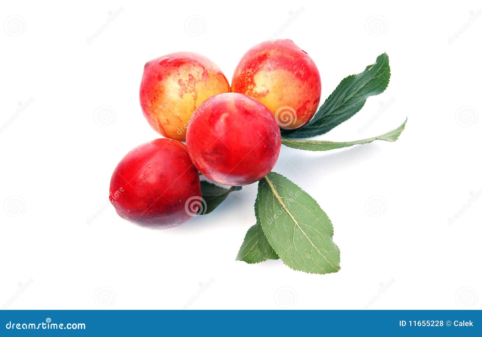 Mirabelle 3 stock photo. Image of ingredient, assorted - 11655228