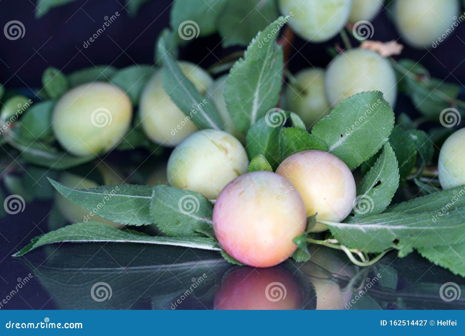 The Mirabelle, Also Called Yellow Plum, is a Subspecies of the Plum ...