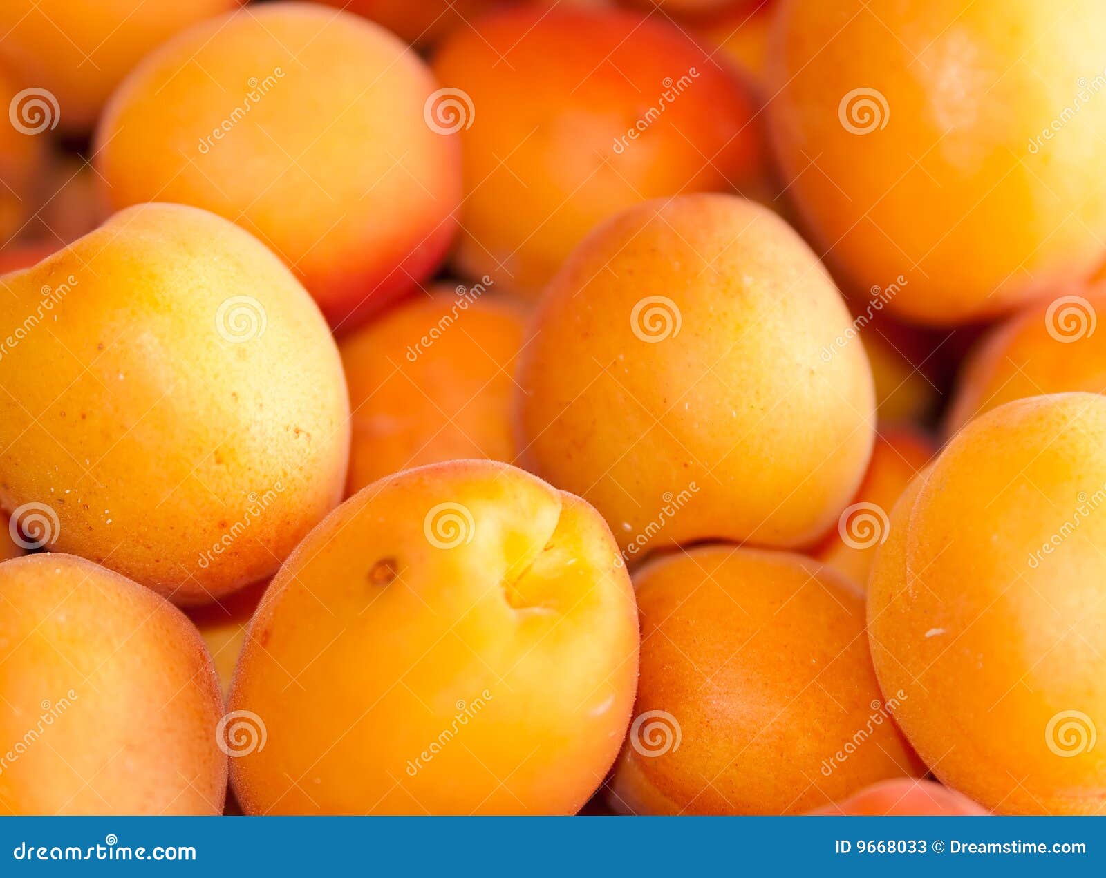 Mirabelles stock image. Image of delicious, flora, pile - 9668033