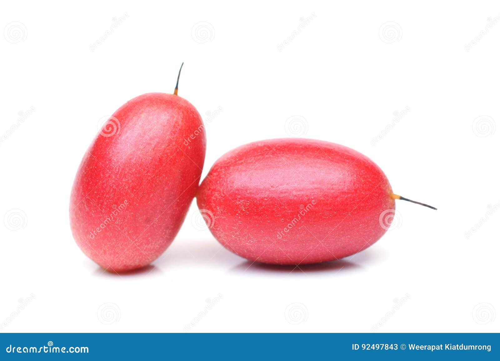 Red Miracle Fruit On The Tree With Green Leaves, Isolated With Blurred ...