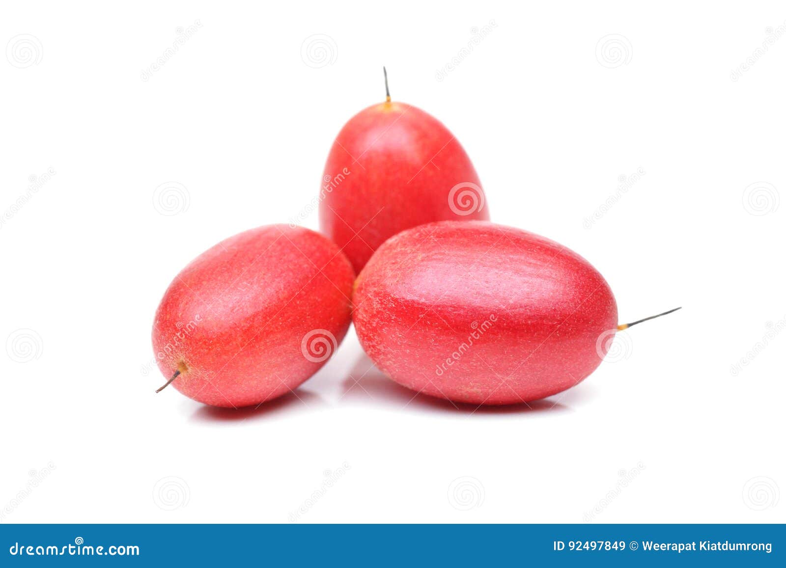 Miracle fruit stock image. Image of grow, colorful, leaf - 92497849