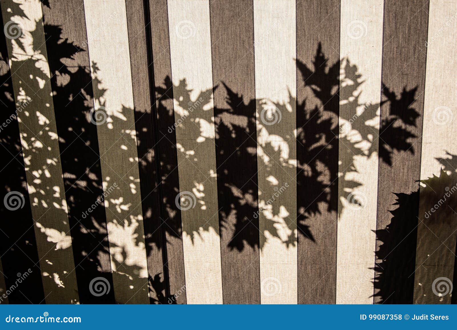 Tree Shadow on Awning, Background Stock Photo - Image of fantasy, look ...