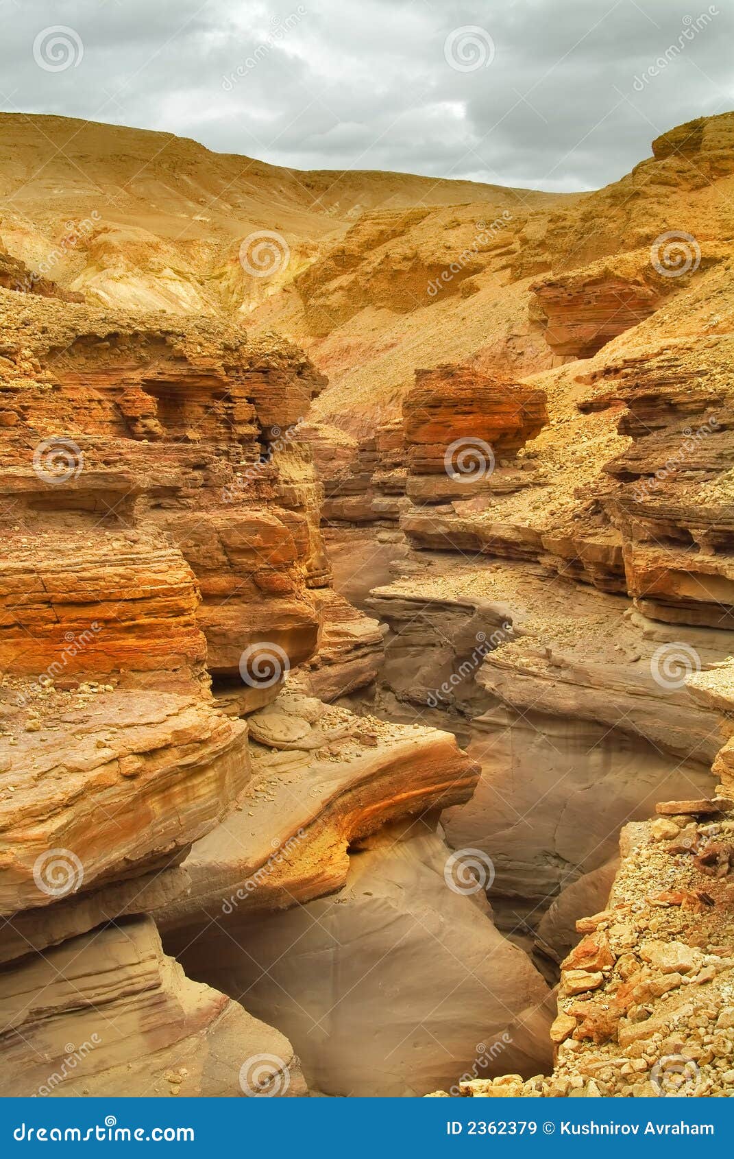 Miracles of the nature stock image. Image of opening, season - 2362379