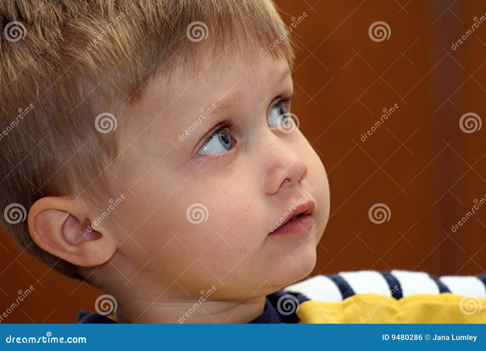 Mirada del muchacho foto de archivo. Imagen de pureza - 9480286