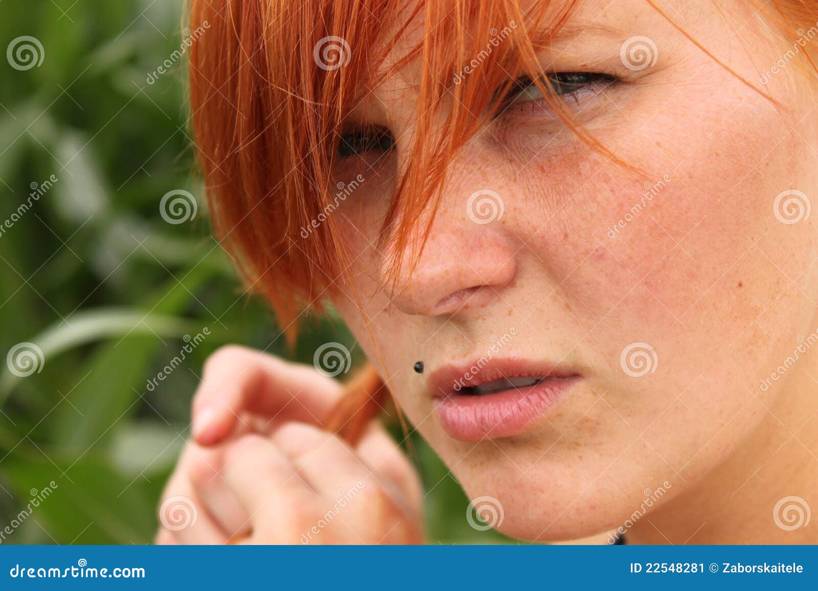 Mirada intensa imagen de archivo. Imagen de hembra, retrato - 22548281