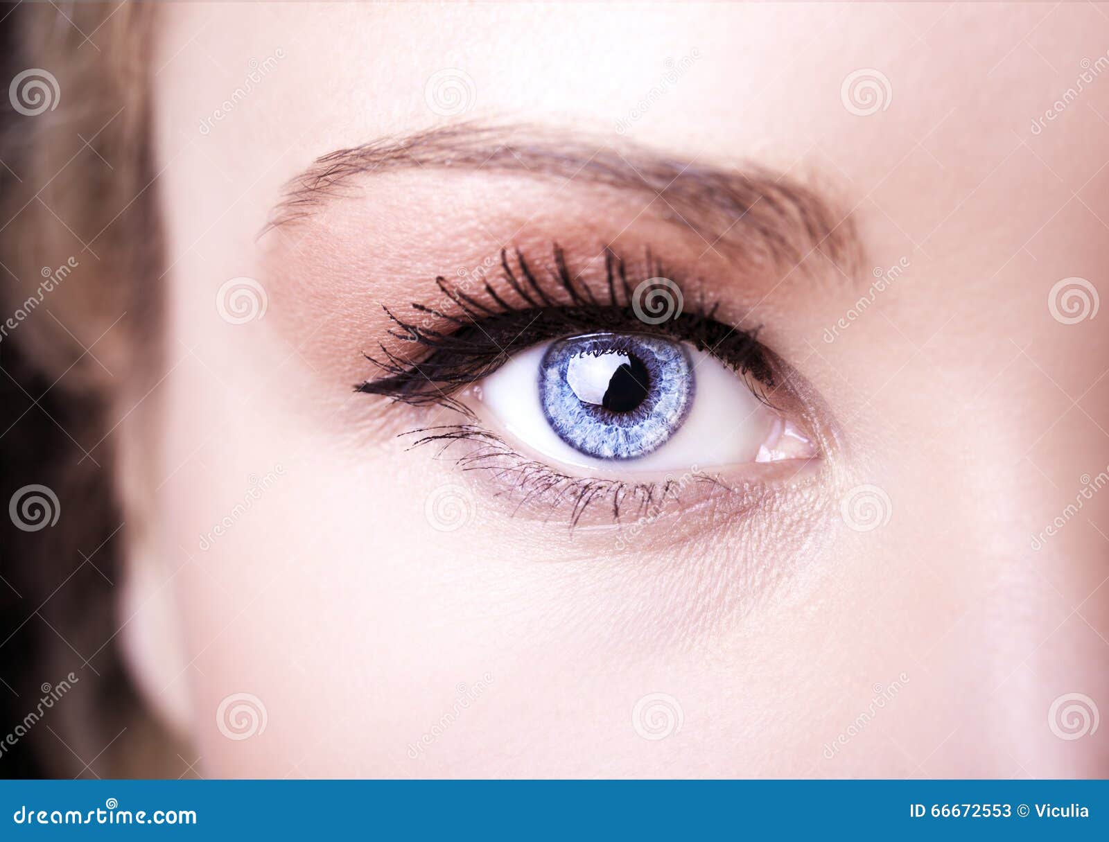 Mirada Profunda En Ojos Azules Imagen de archivo - Imagen de visual ...