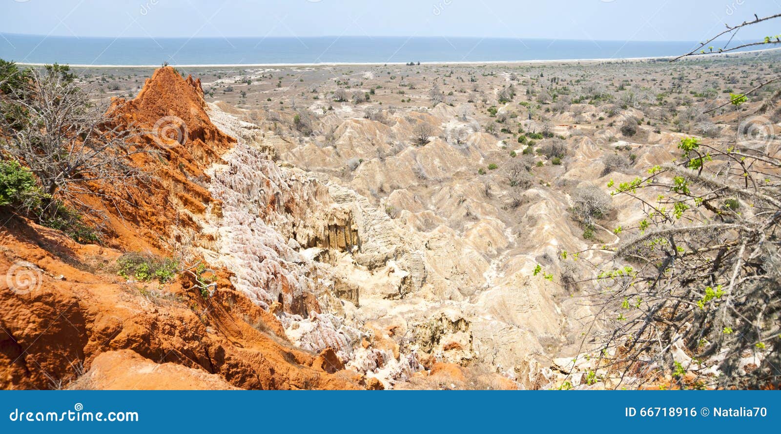 Miradouro da Lua stock photo. Image of botany, nature - 66718916