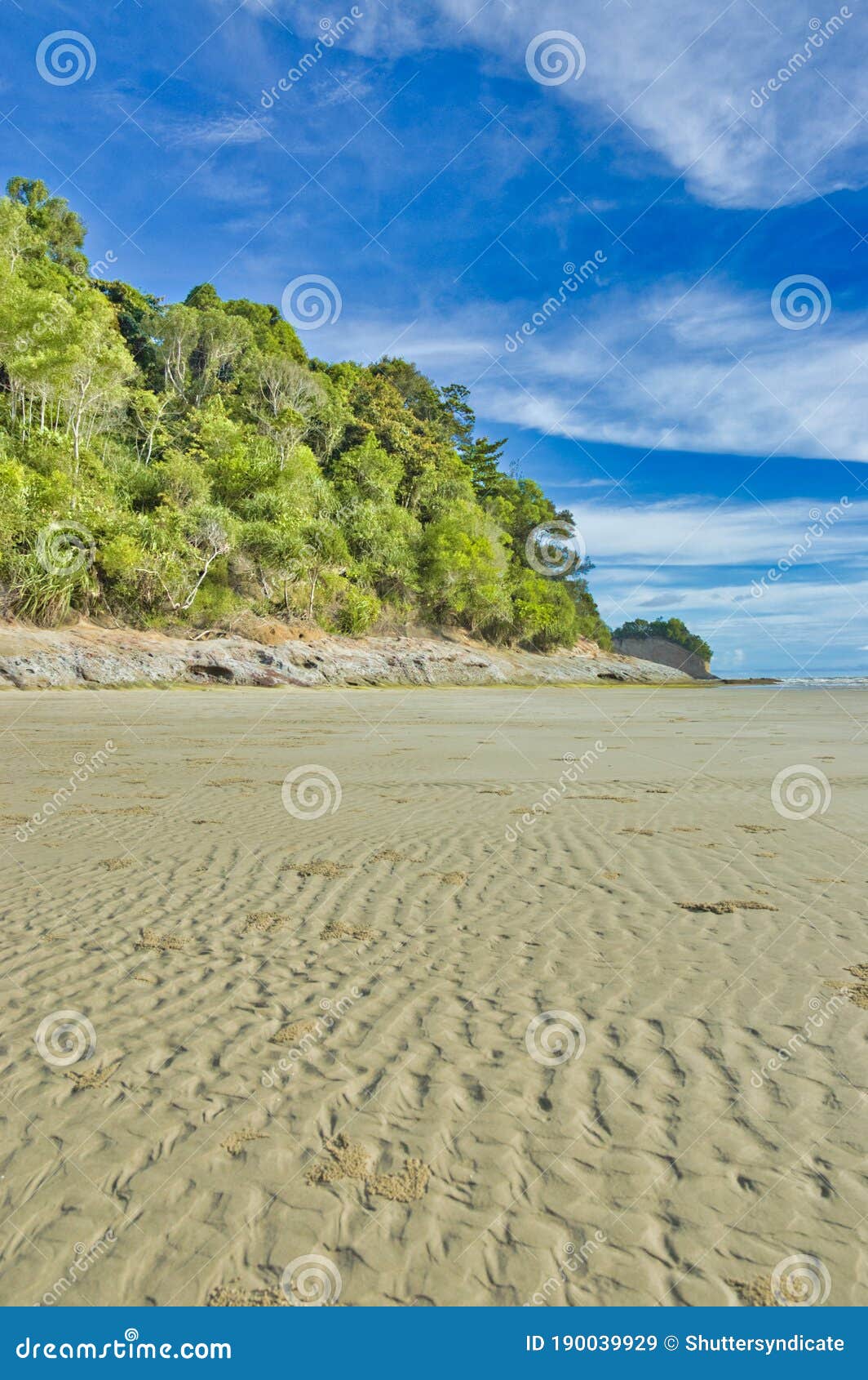 Miri Beach at Taman Selera. Stock Image - Image of texture, chlorophyll ...