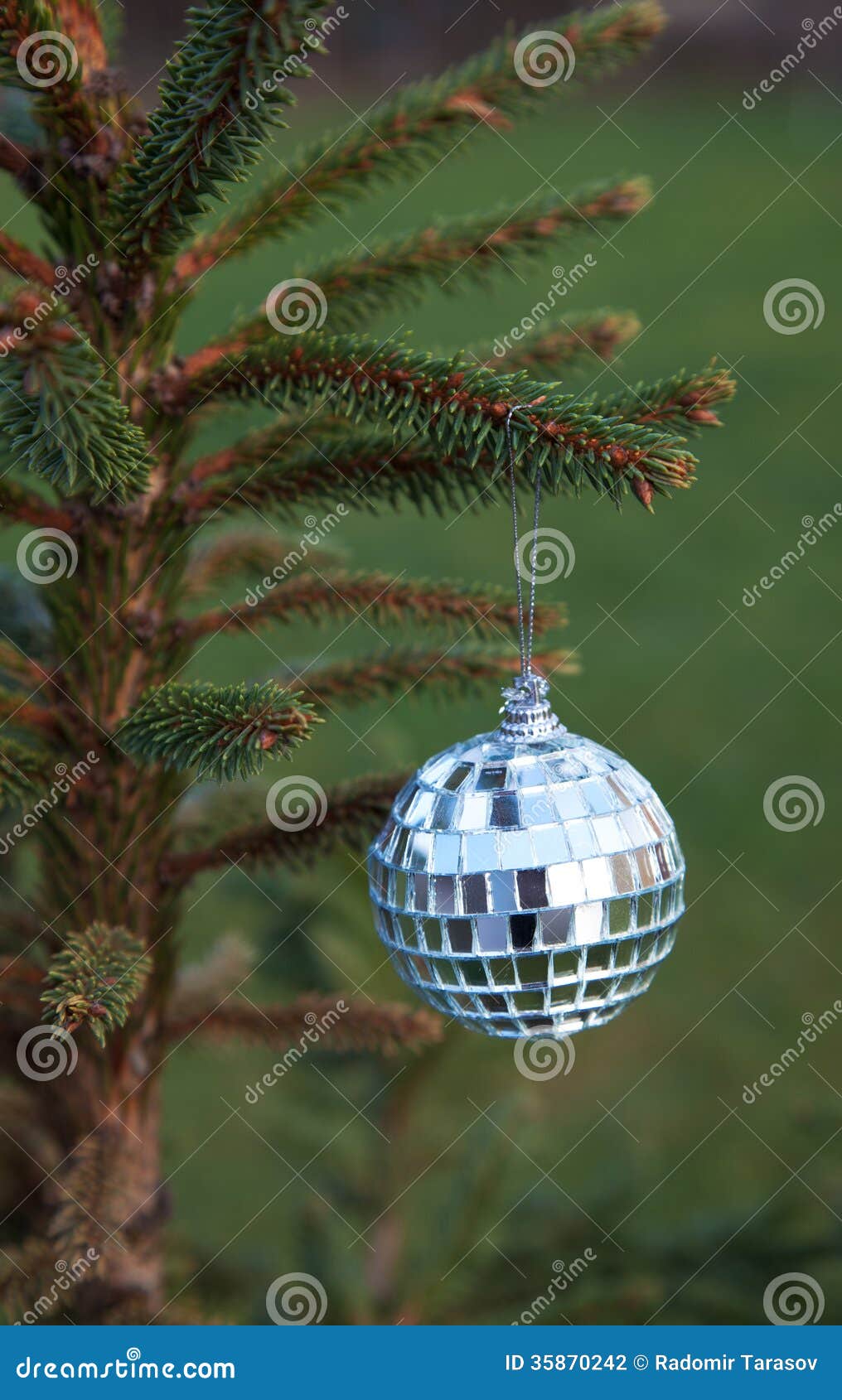 Mirror Ball Hanging on a Christmas Tree Branch Stock Photo - Image of ...