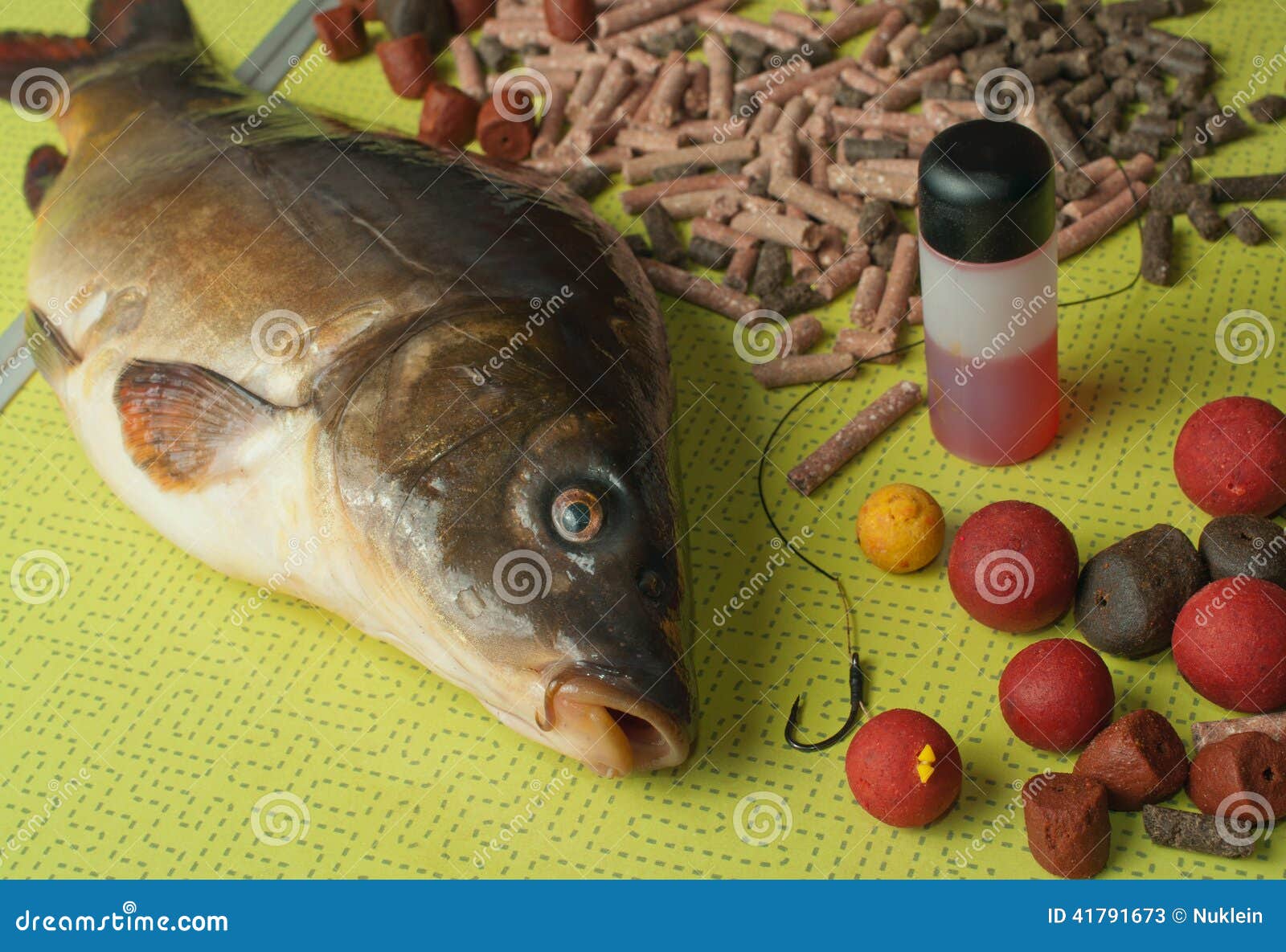 Mirror Carp, Bait and Fishing Tips on a Folding Ta Stock Image - Image ...