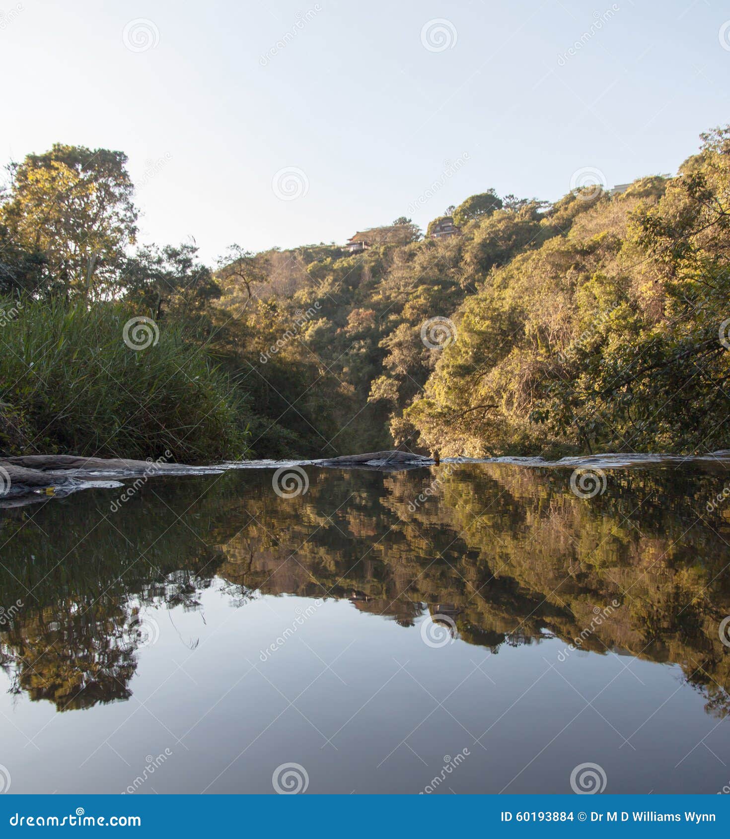 The mirror in the forest stock photo. Image of kloof - 60193884