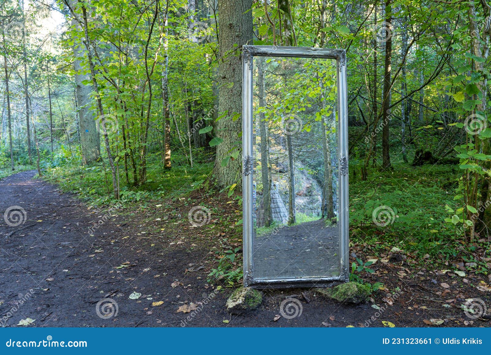 Mirror in the green forest stock image. Image of oldfashioned - 231323661