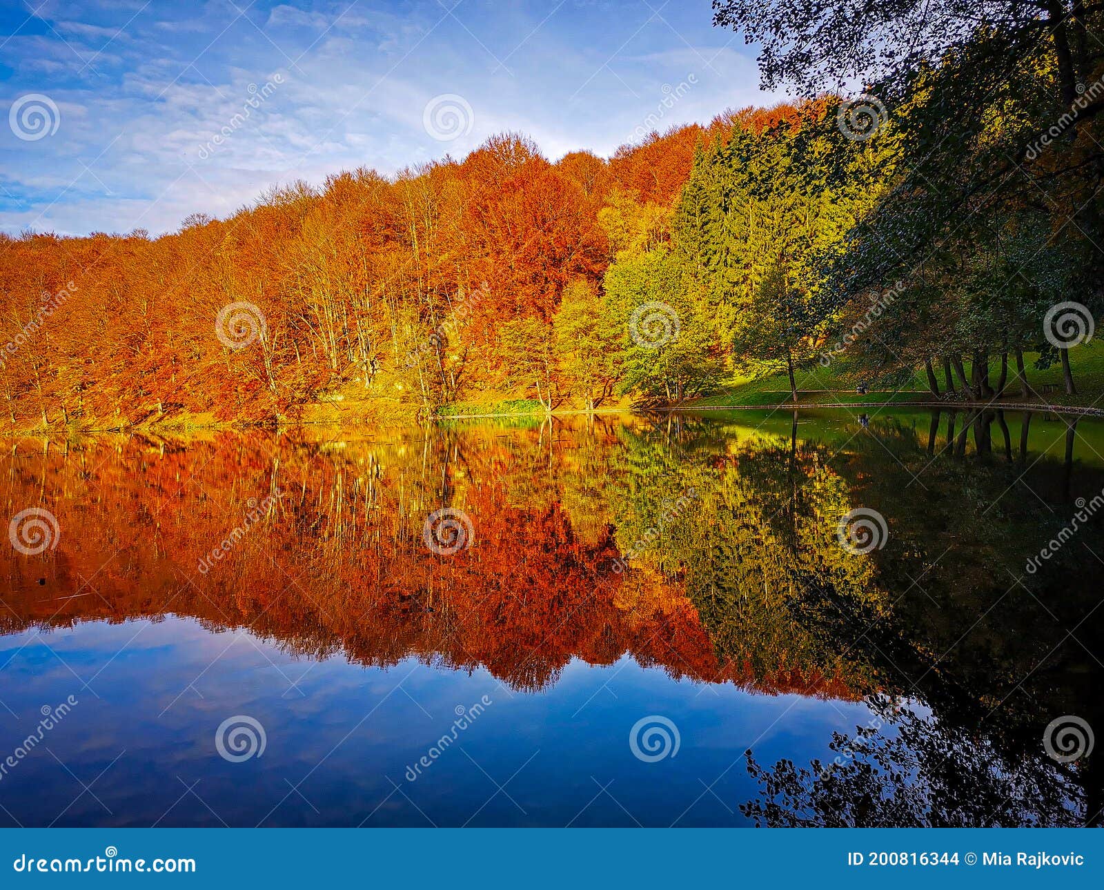 The mirror of nature stock photo. Image of lake, reflection - 200816344