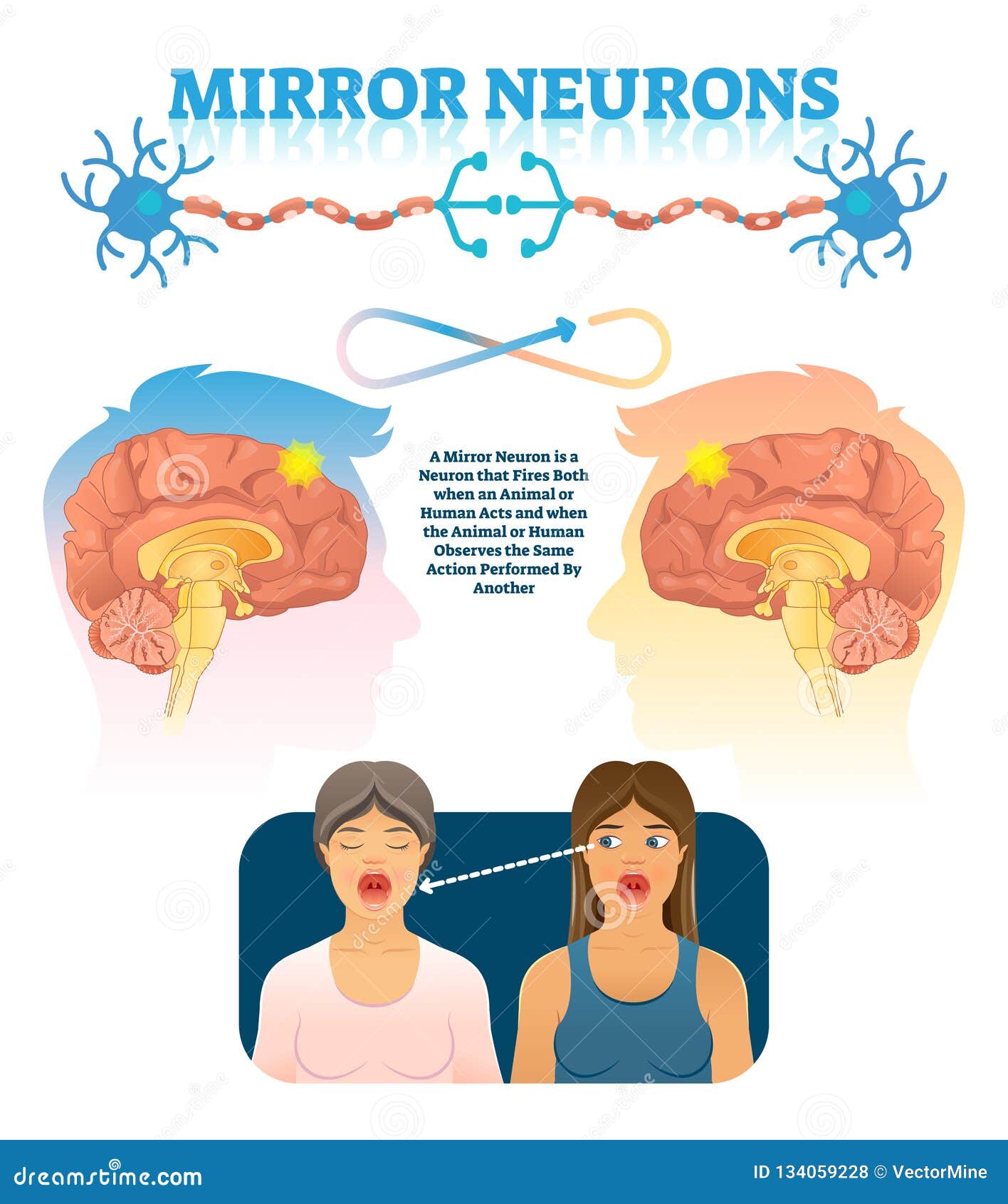 Action Brain Stock Illustrations – 1,650 Action Brain Stock ...