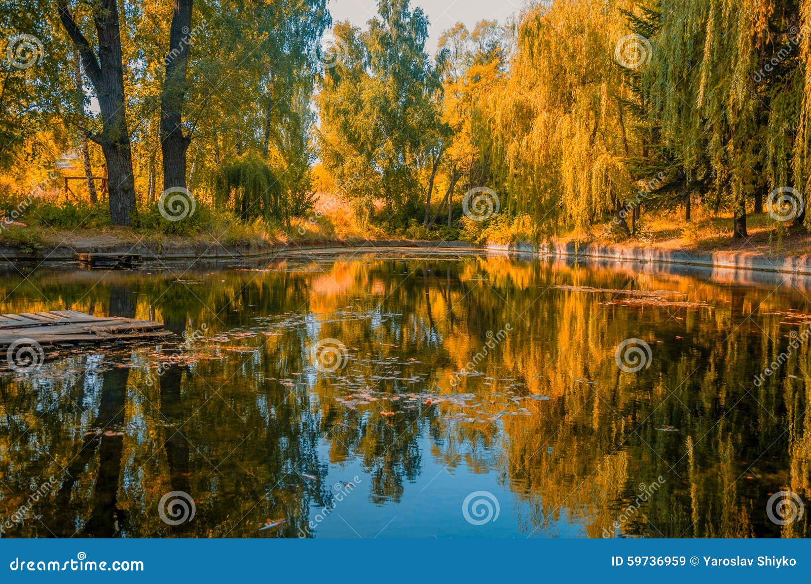 A Mirror Reflection of Trees in Lake Stock Image - Image of morning ...