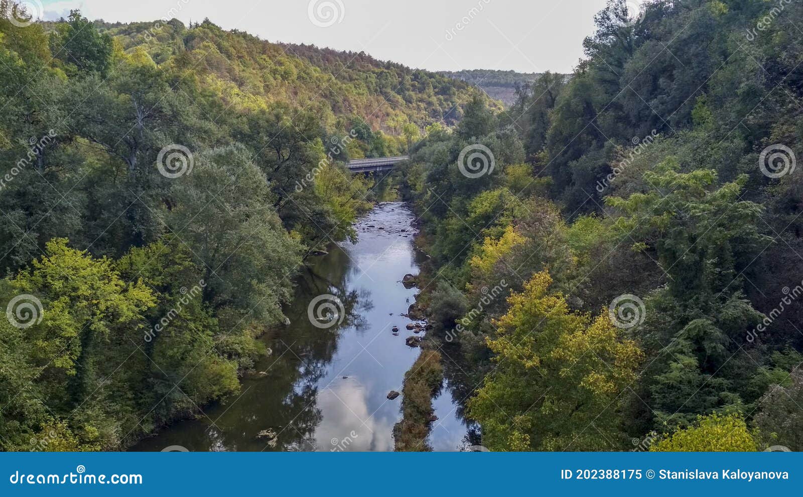Mirror River Sky and Tree Reflection Landscape. River Running through ...