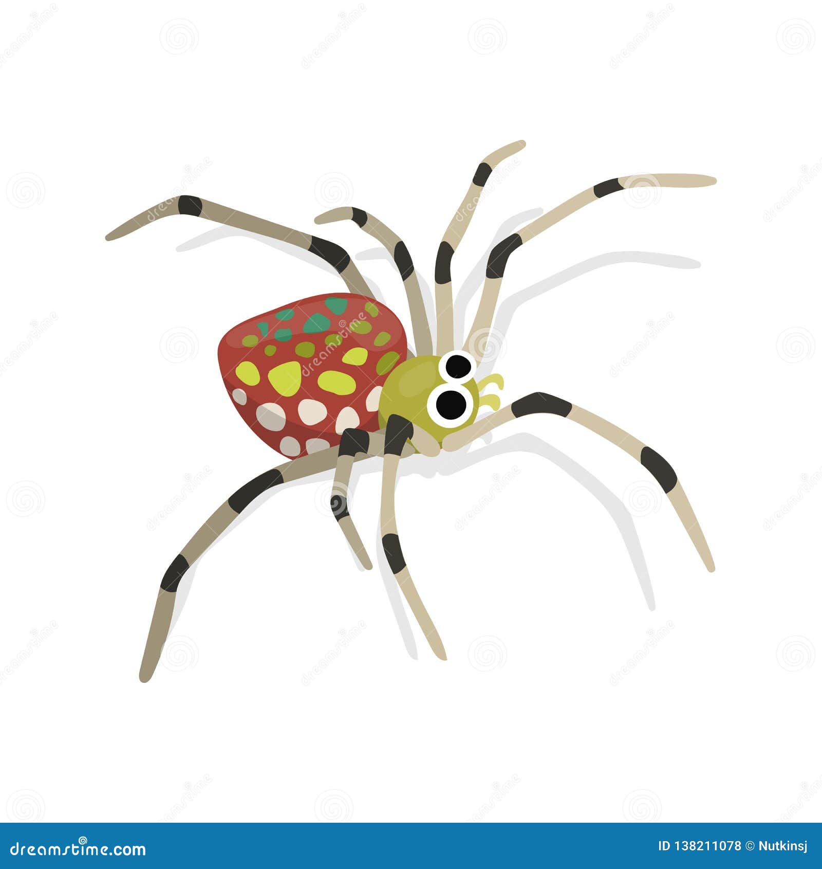 Mirror Spider Isolated stock vector. Illustration of poisonous - 138211078