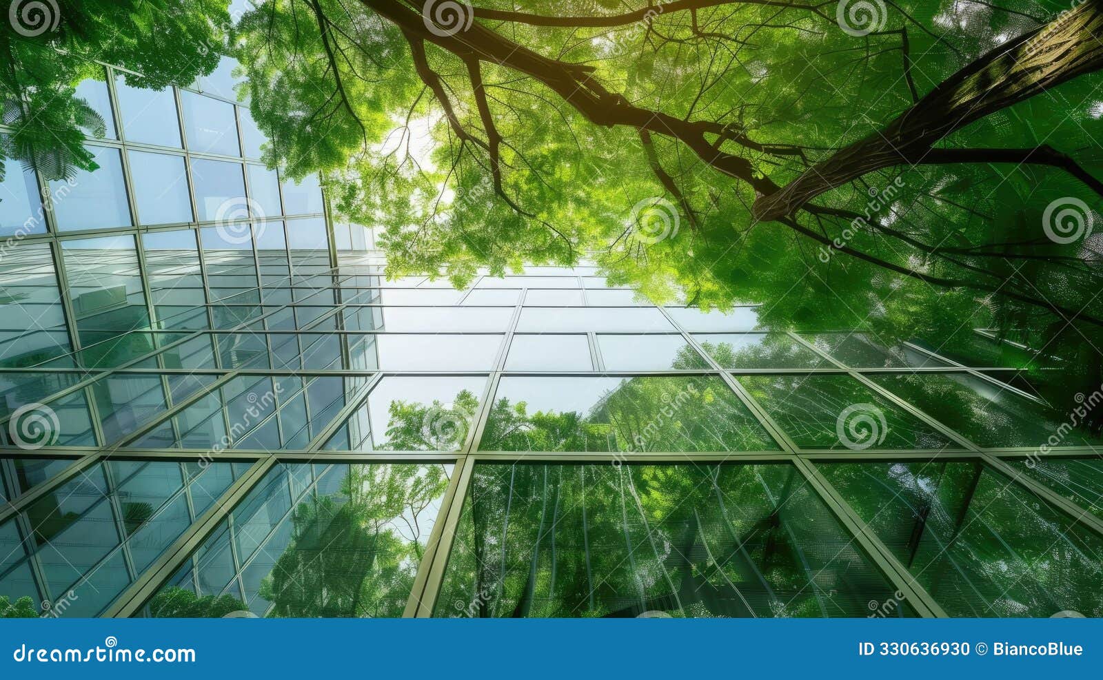 The Mirror Structure Reflect Light and Green Tree on Opposite Under Sun ...
